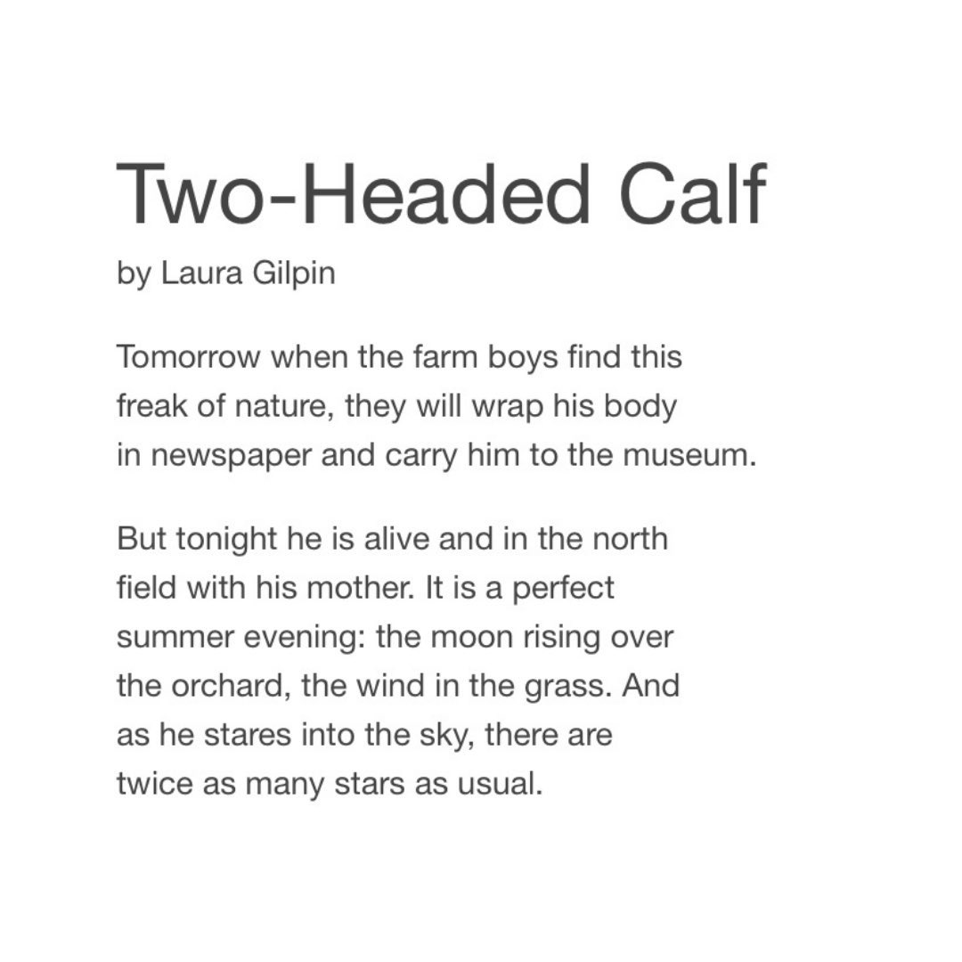 Poem: Two-Headed Calf – shojiwax.com