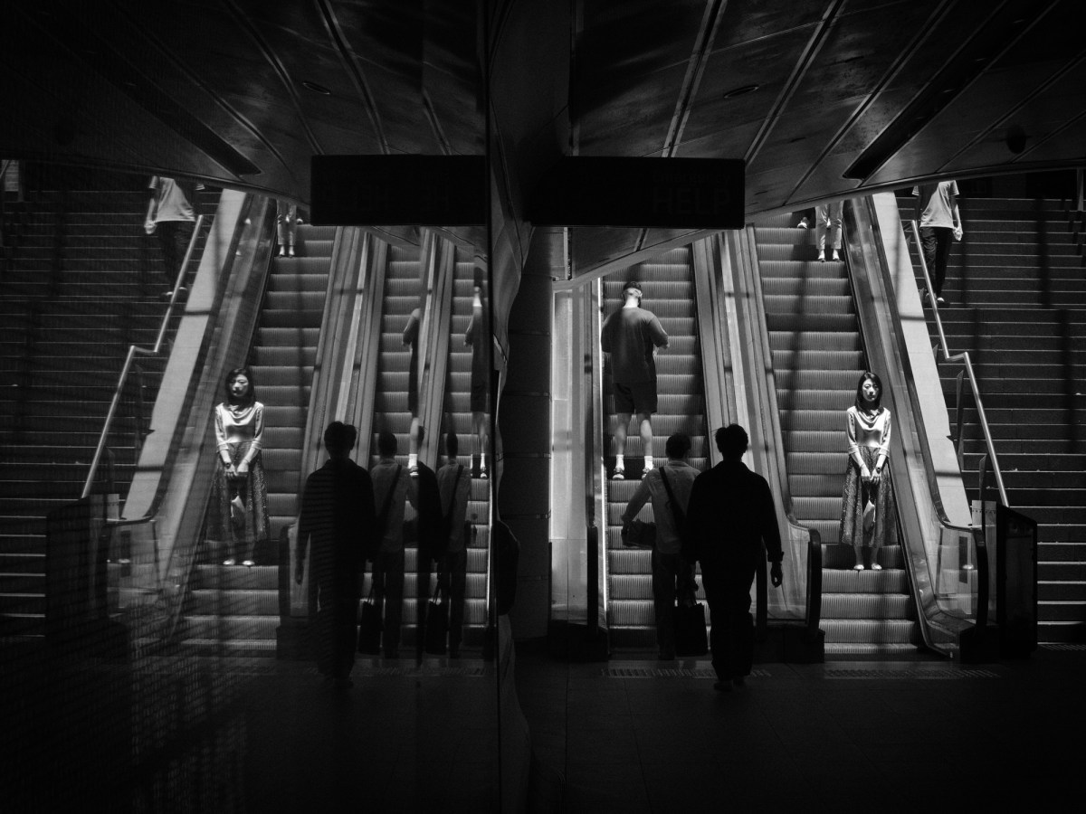 Christmas eve walk in Sydney. – shojiwax.com