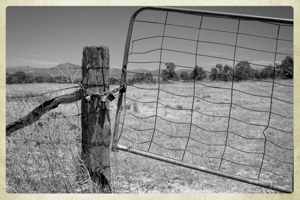 The burning bush. – shojiwax.com