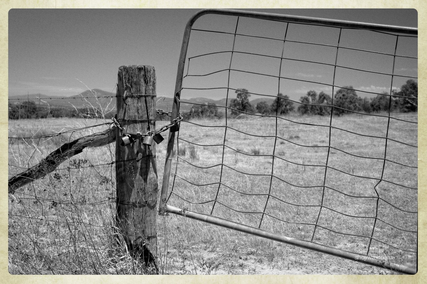 The burning bush. – shojiwax.com